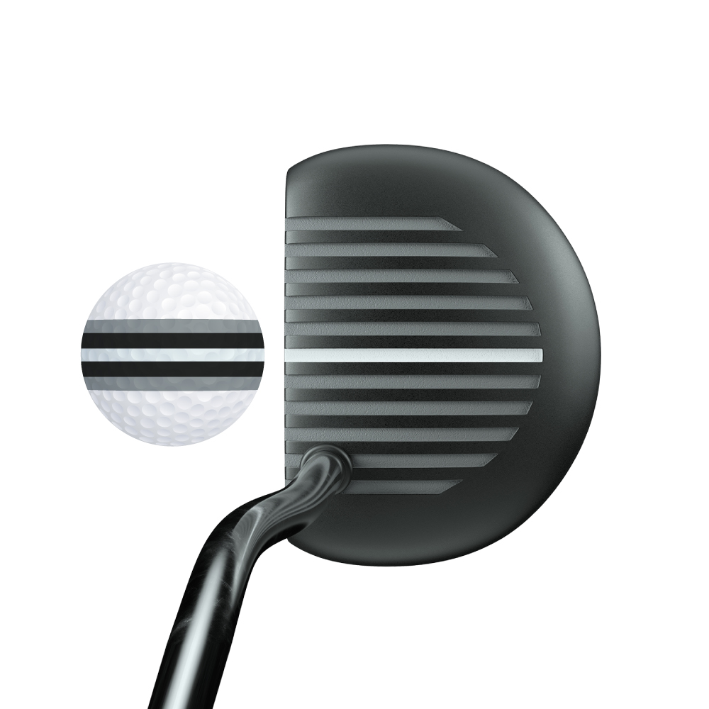 Zebra – Align.Golf